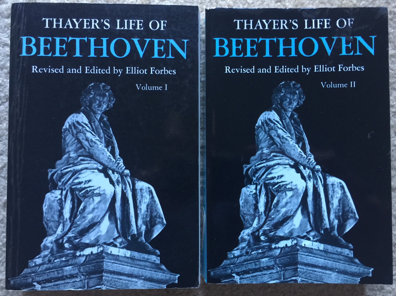 Ludwig Van Beethoven – 162 Days With Beethoven And Me